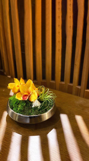 Mini Garden Plants | Online Flower Bouquet Shop HK | OVO GARDEN – OVOGarden